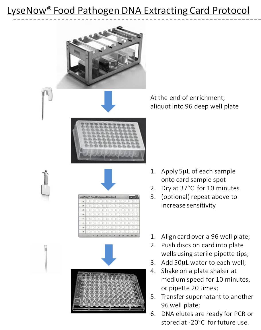 LyseNow® Food Pathogen DNA Extracting Cards | 연구용제품 > Bio마켓 | BRIC